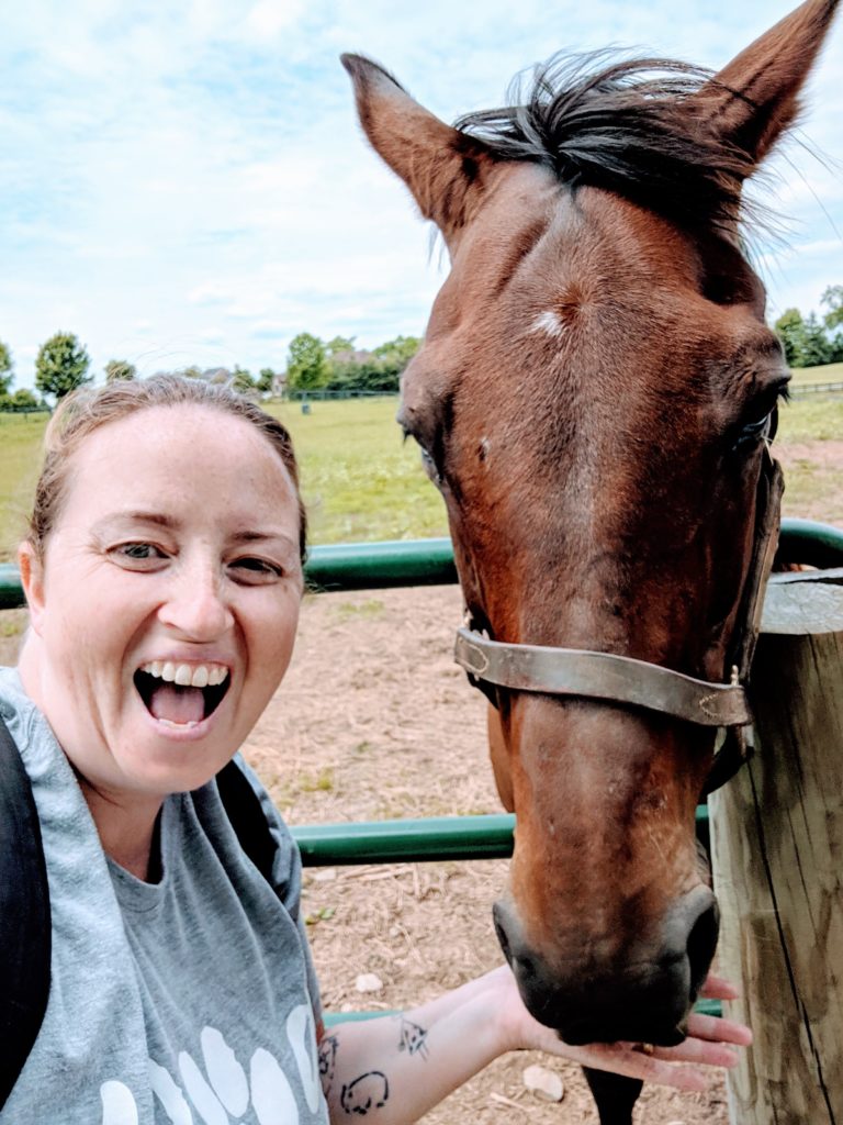 Meeting Retired Race Horses At Old Friends Farm Near Lexington ...