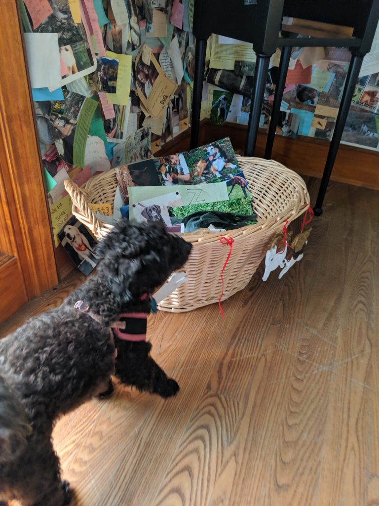 Visiting The Dog Chapel & Stephen Huneck Art Gallery At Dog Mountain ...