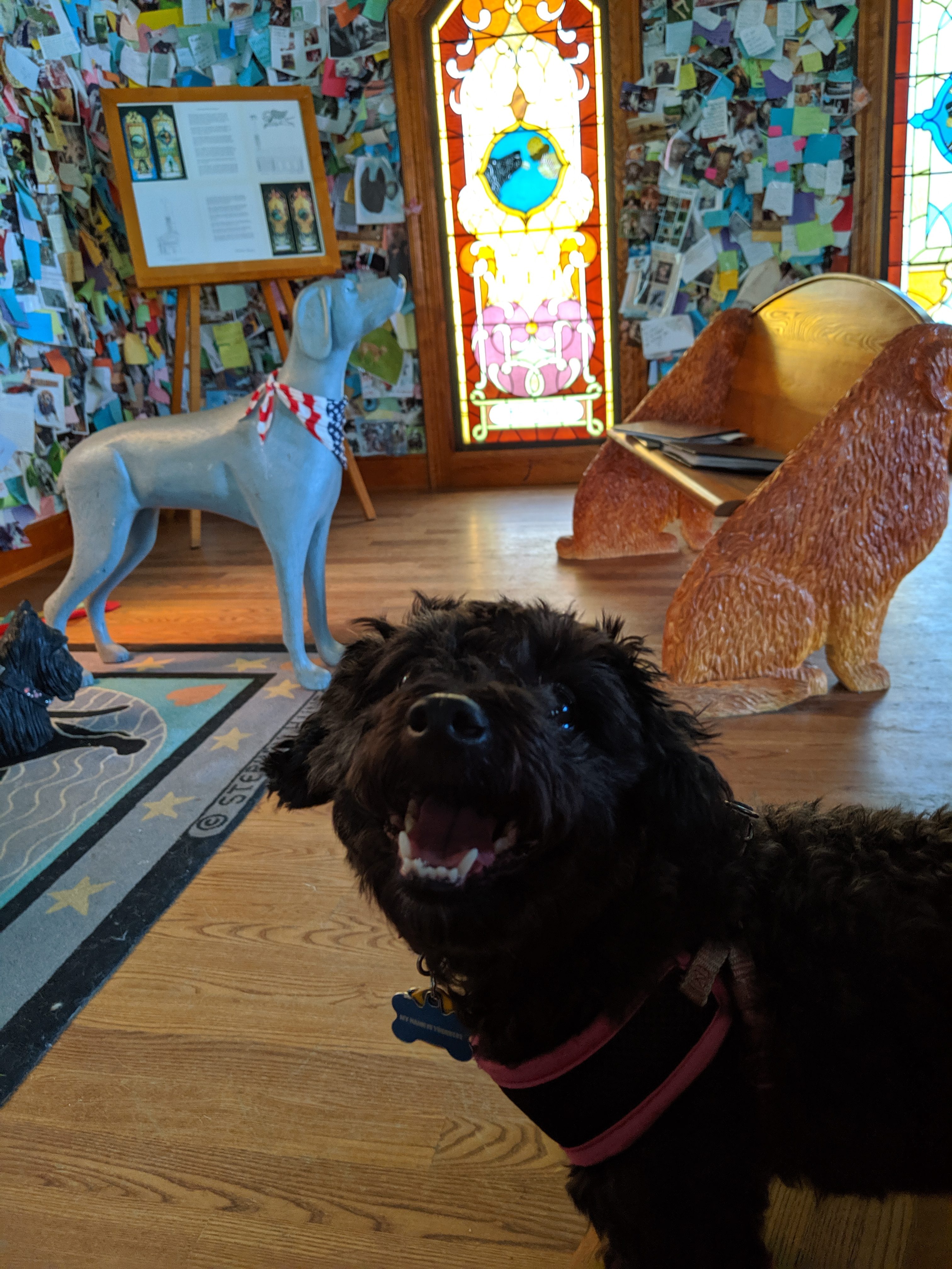 Stephen Huneck Dog Chapel at Dog Mountain VT (15) - No Home Just Roam
