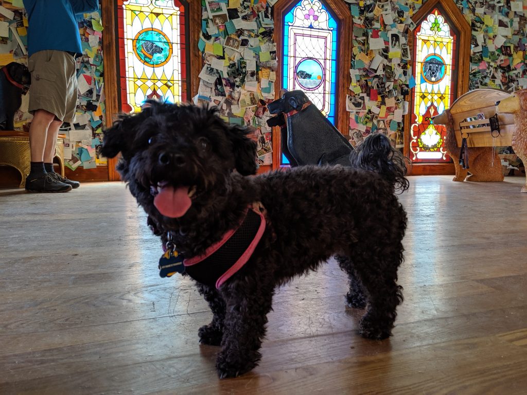 Visiting The Dog Chapel & Stephen Huneck Art Gallery At Dog Mountain ...
