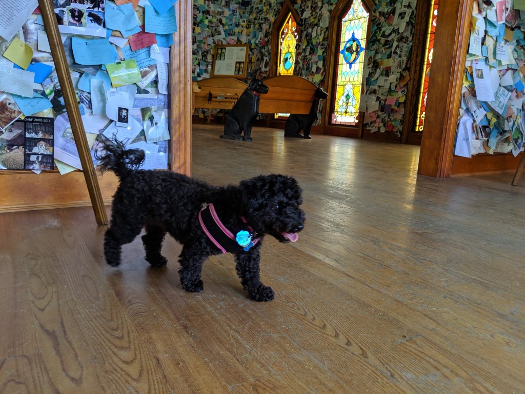 Visiting The Dog Chapel & Stephen Huneck Art Gallery At Dog Mountain ...