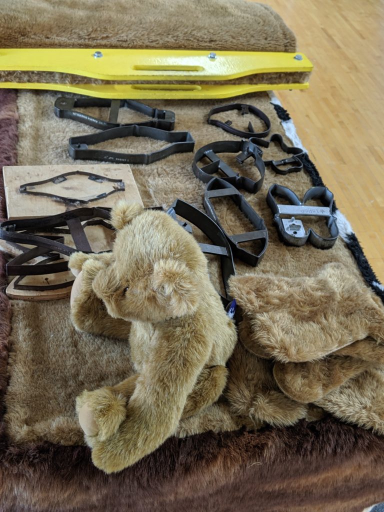 Having A Beary Good Time On The Vermont Teddy Bear Factory Tour Near ...