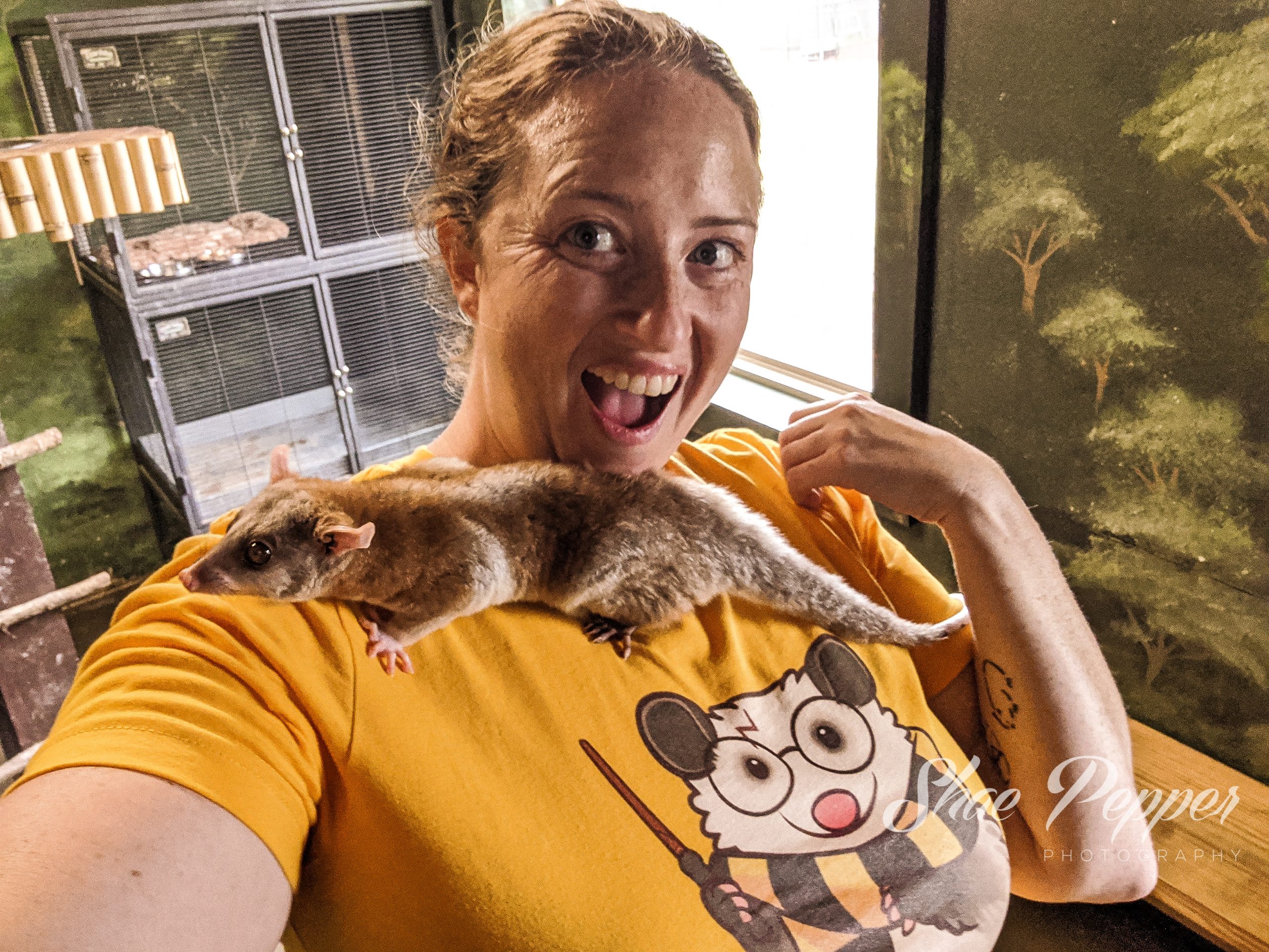Animal Experience Otter Swim Barn Hill Preserve Louisiana -7 - No Home ...