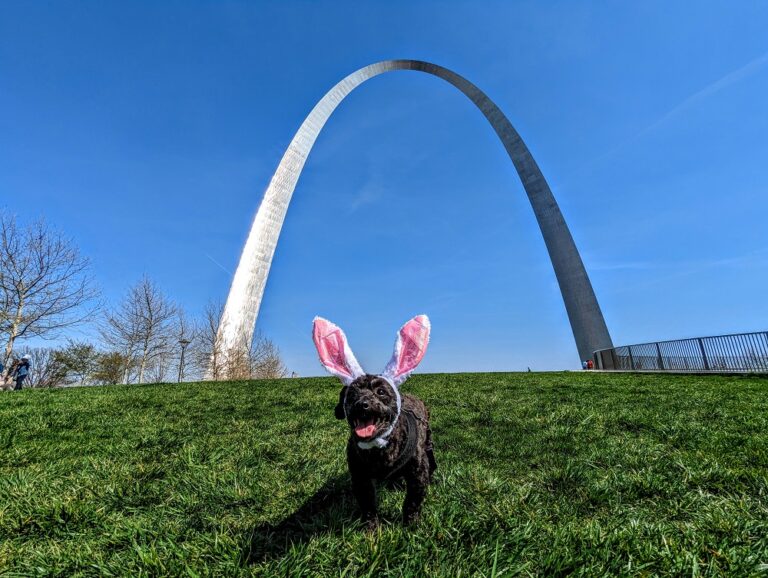 Visiting The Gateway Arch In St Louis, MO - No Home Just Roam