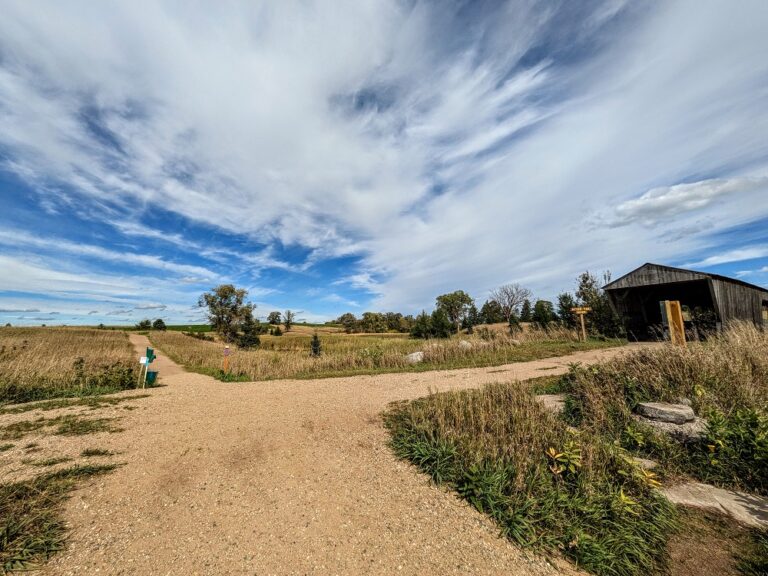 How To Find Thomas Dambo's Trolls In Detroit Lakes, MN (And The Golden ...
