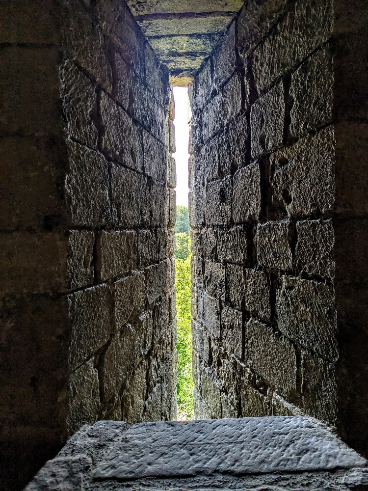 Visiting The Pet-Friendly Barnard Castle (Part Of English Heritage ...