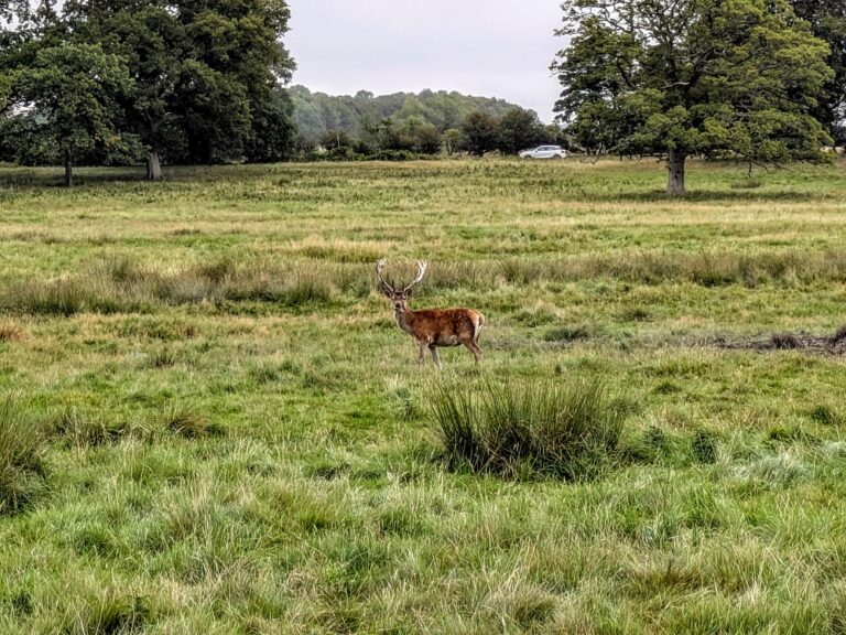 Visiting Raby Castle in County Durham, England - No Home Just Roam